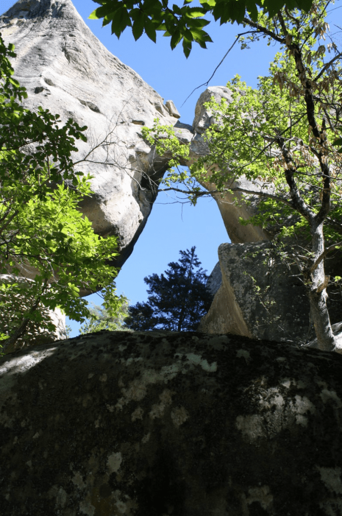Les Callunes – Annot – Hôtel** – Bar – Restaurant