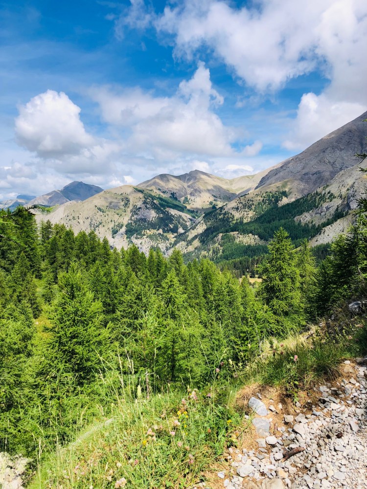 Les Callunes – Annot – Hôtel** – Bar – Restaurant