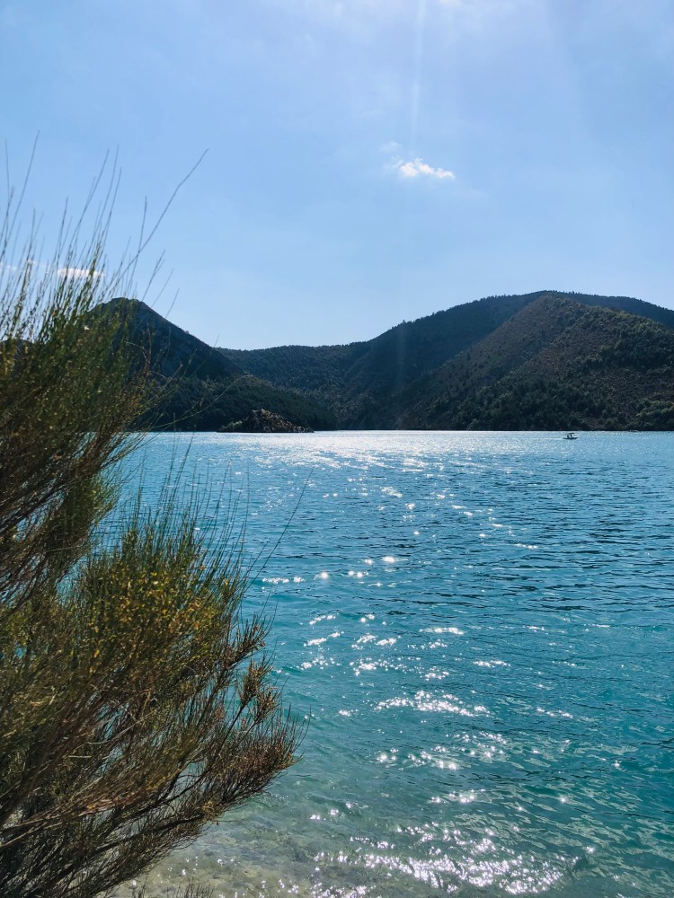 Les Callunes – Annot – Hôtel** – Bar – Restaurant