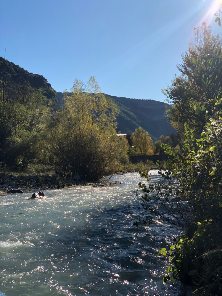 Les Callunes – Annot – Hôtel** – Bar – Restaurant