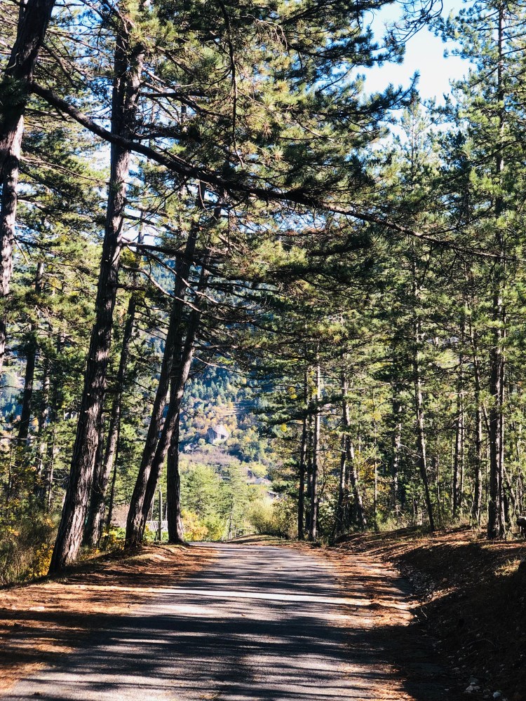 Les Callunes – Annot – Hôtel** – Bar – Restaurant