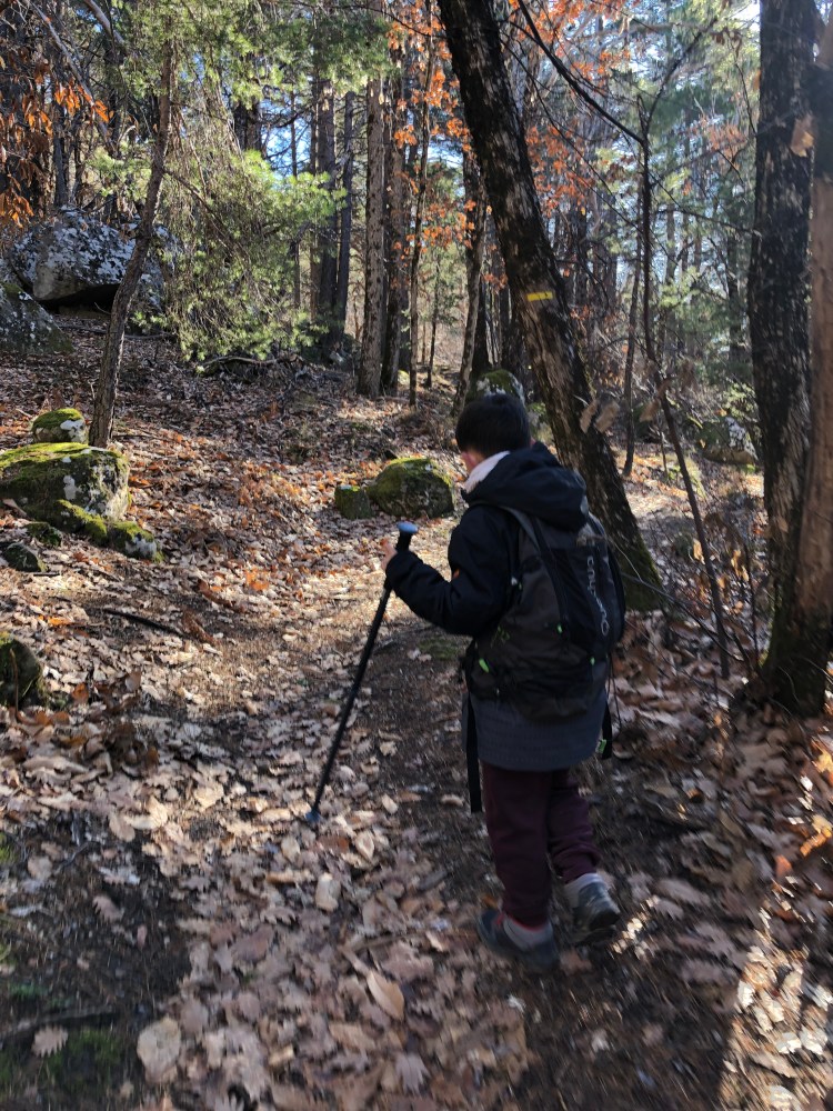 Les Callunes – Annot – Hôtel** – Bar – Restaurant