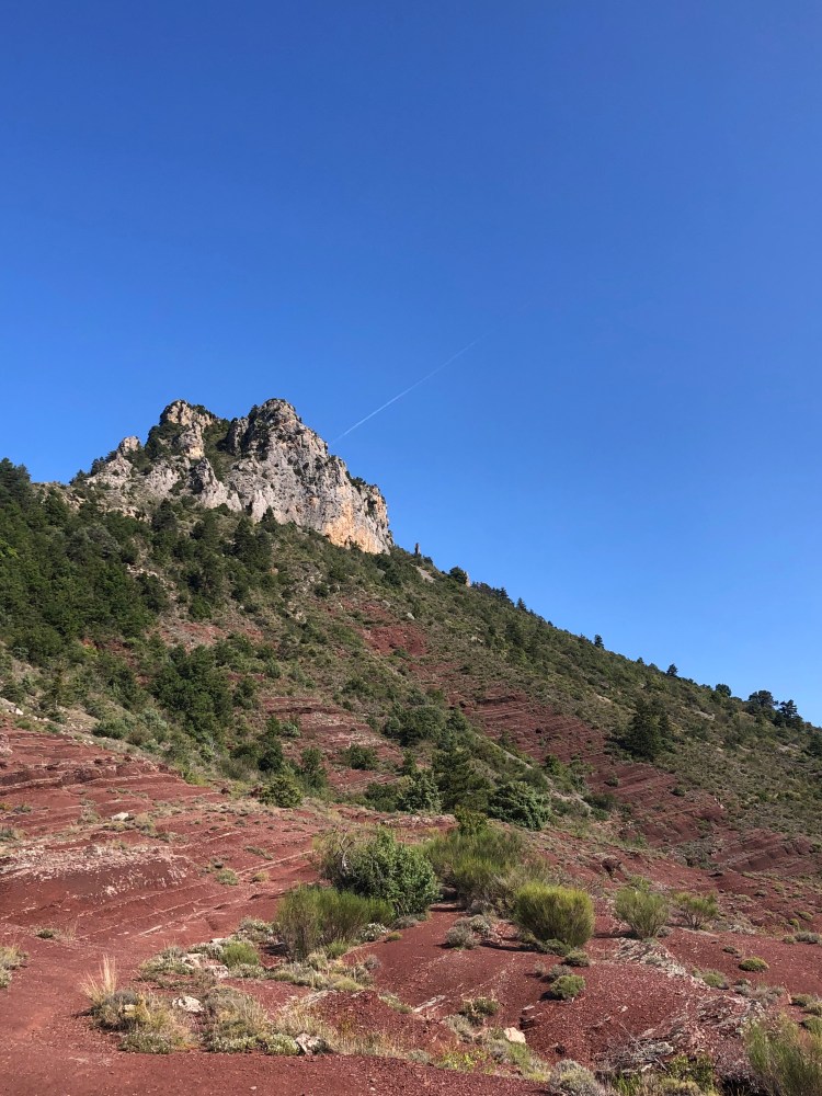 Les Callunes – Annot – Hôtel** – Bar – Restaurant