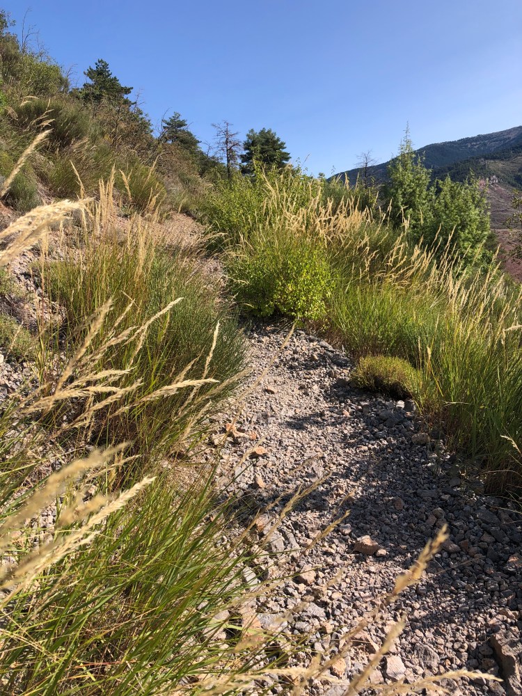 Les Callunes – Annot – Hôtel** – Bar – Restaurant